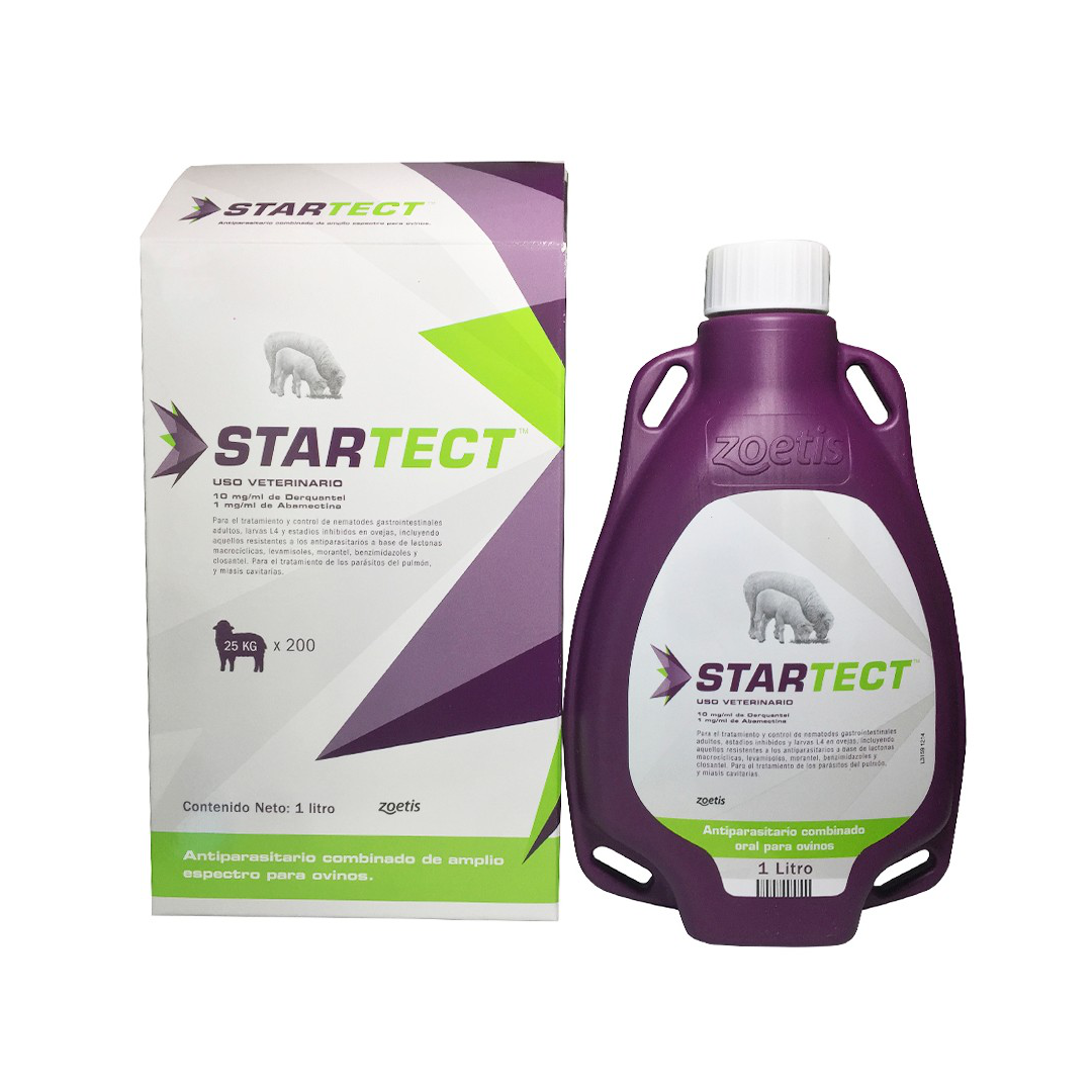 Startect
